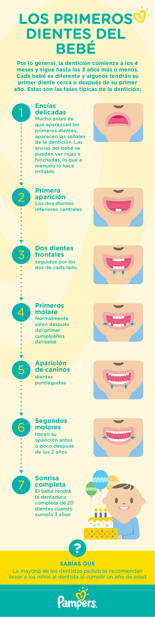 ¿Como cuidar los dientes de mi bebé? - Irrigadores Dentales